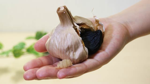 Black garlic – Unique and irresistible new flavor | TREHA®︎ | Nagase ...