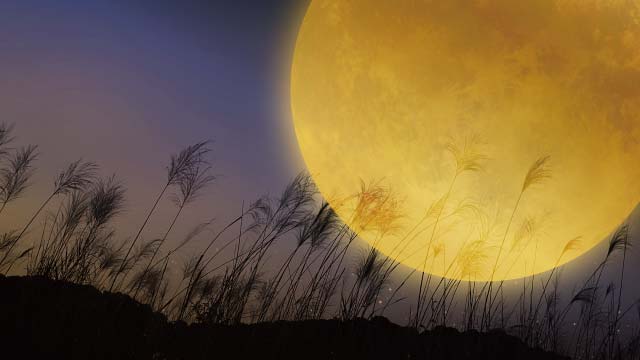 Japanese traditional food series 12: The festive food for the fifteenth ...