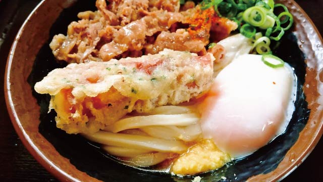 Slurp Your Way to Happiness: The Joyful World of Udon | TREHA®︎ ...